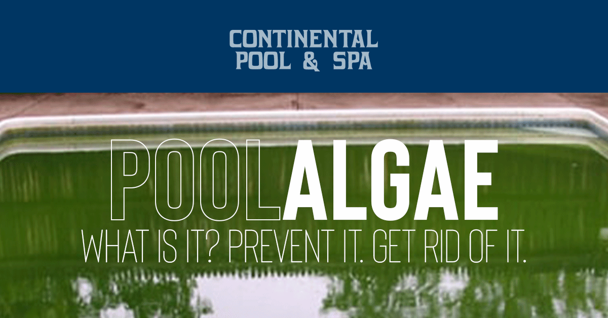 Let's Talk Swimming Pool Algae - Continental Pool and Spa